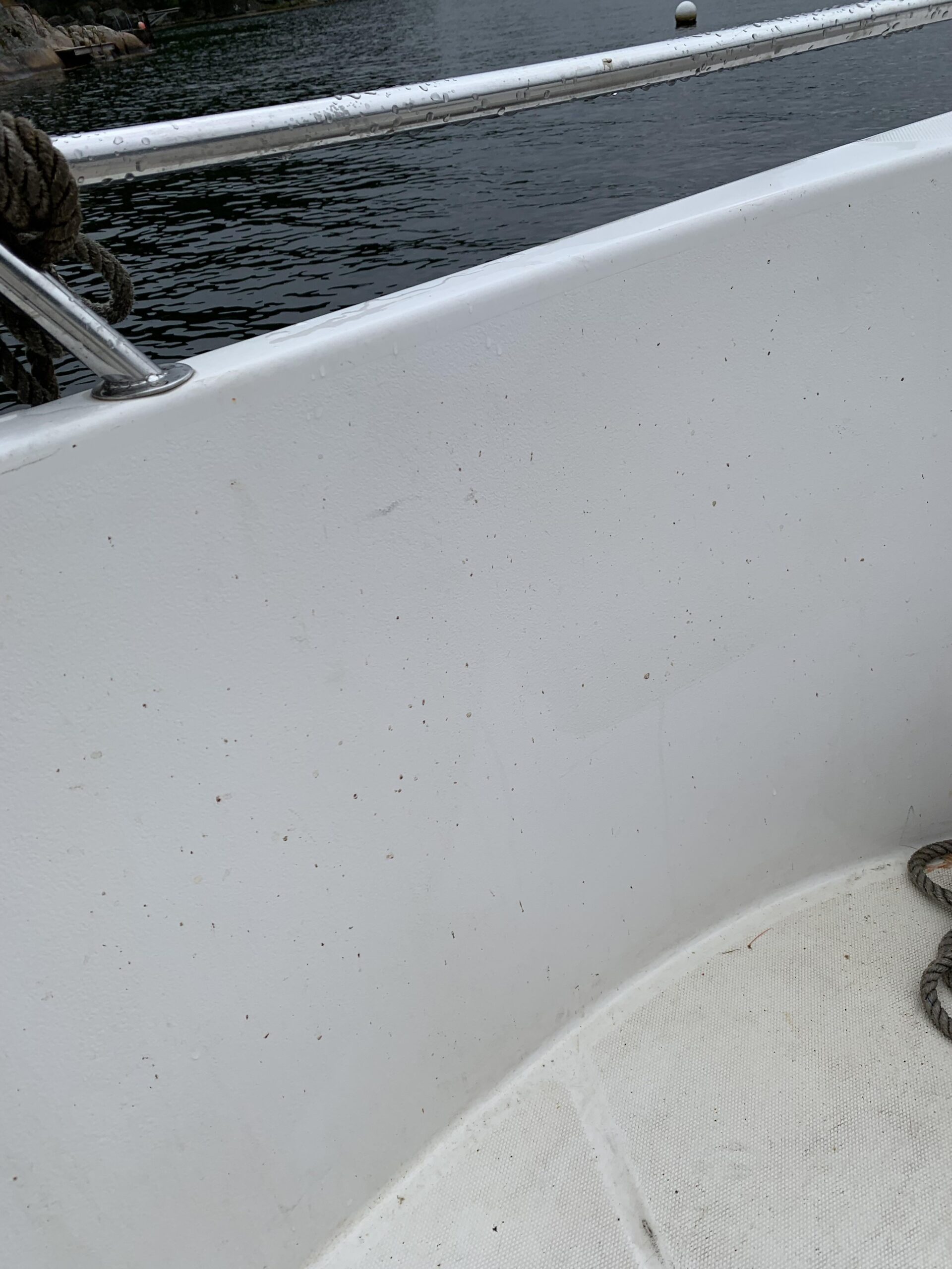 How to remove blood stains from boat? - Flake Food