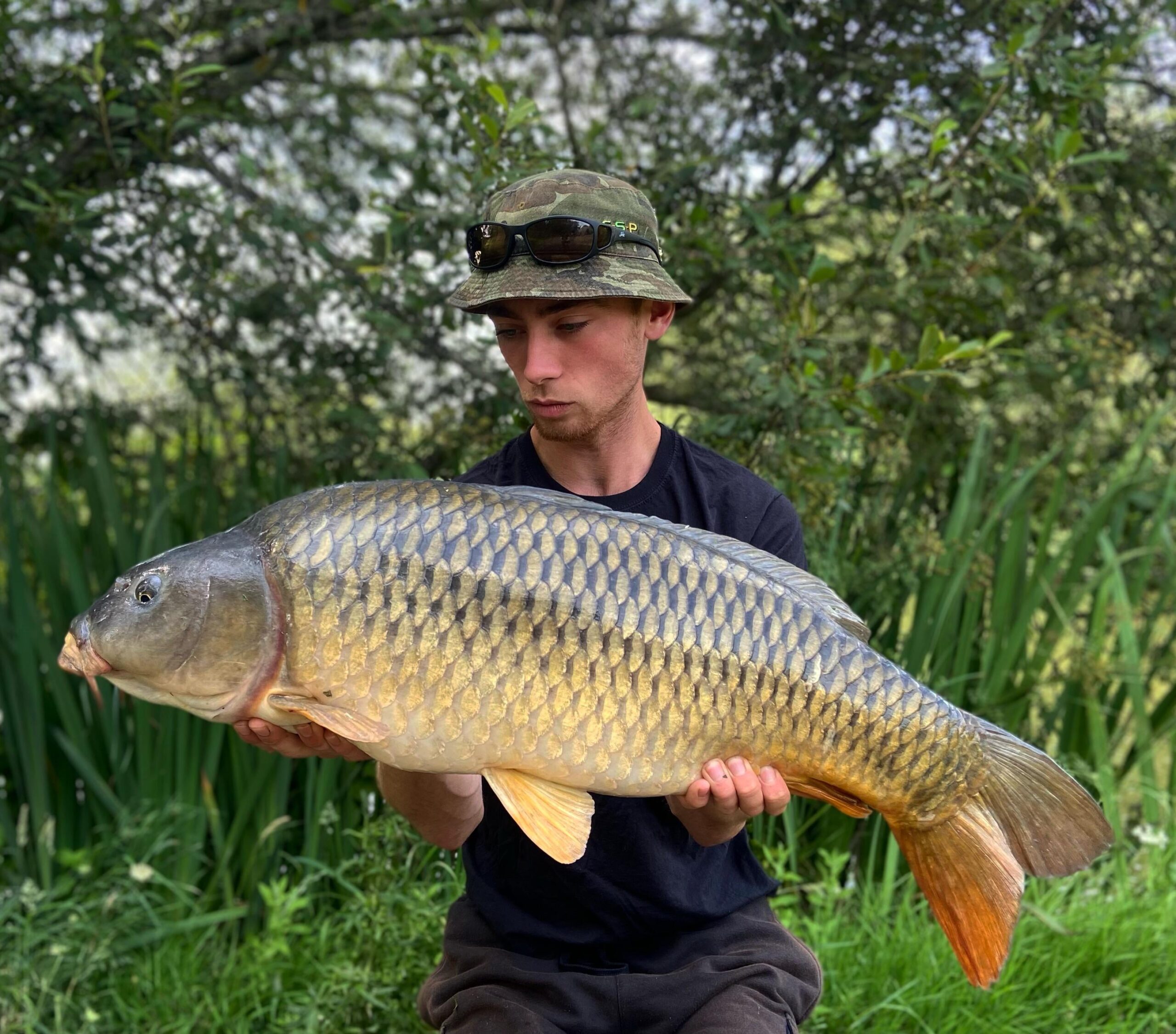 A forgotten gem of a common I tripped up last summer. - Flake Food