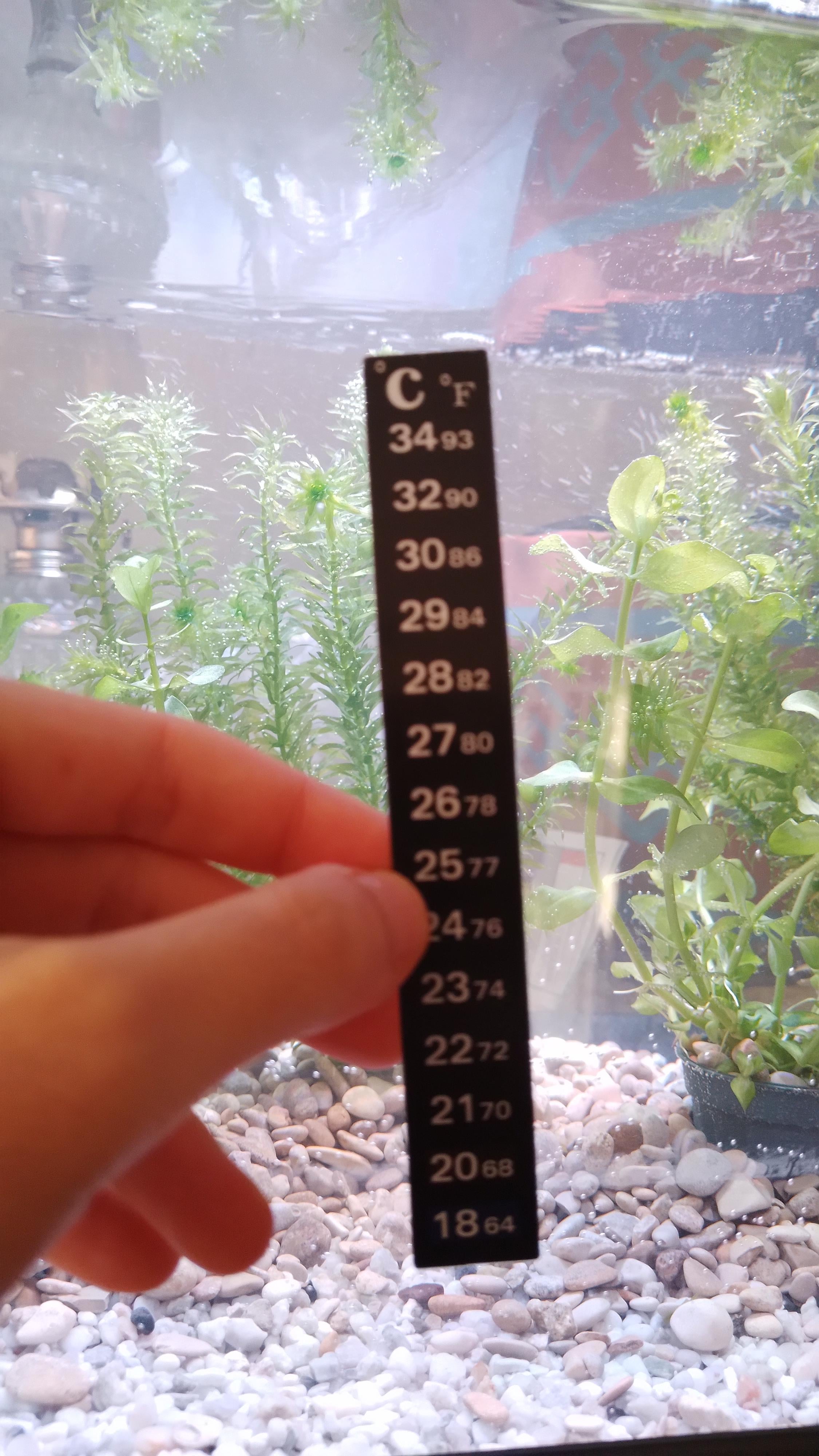 Aquariums: How do you install this thermometer strip? Does it go inside ...