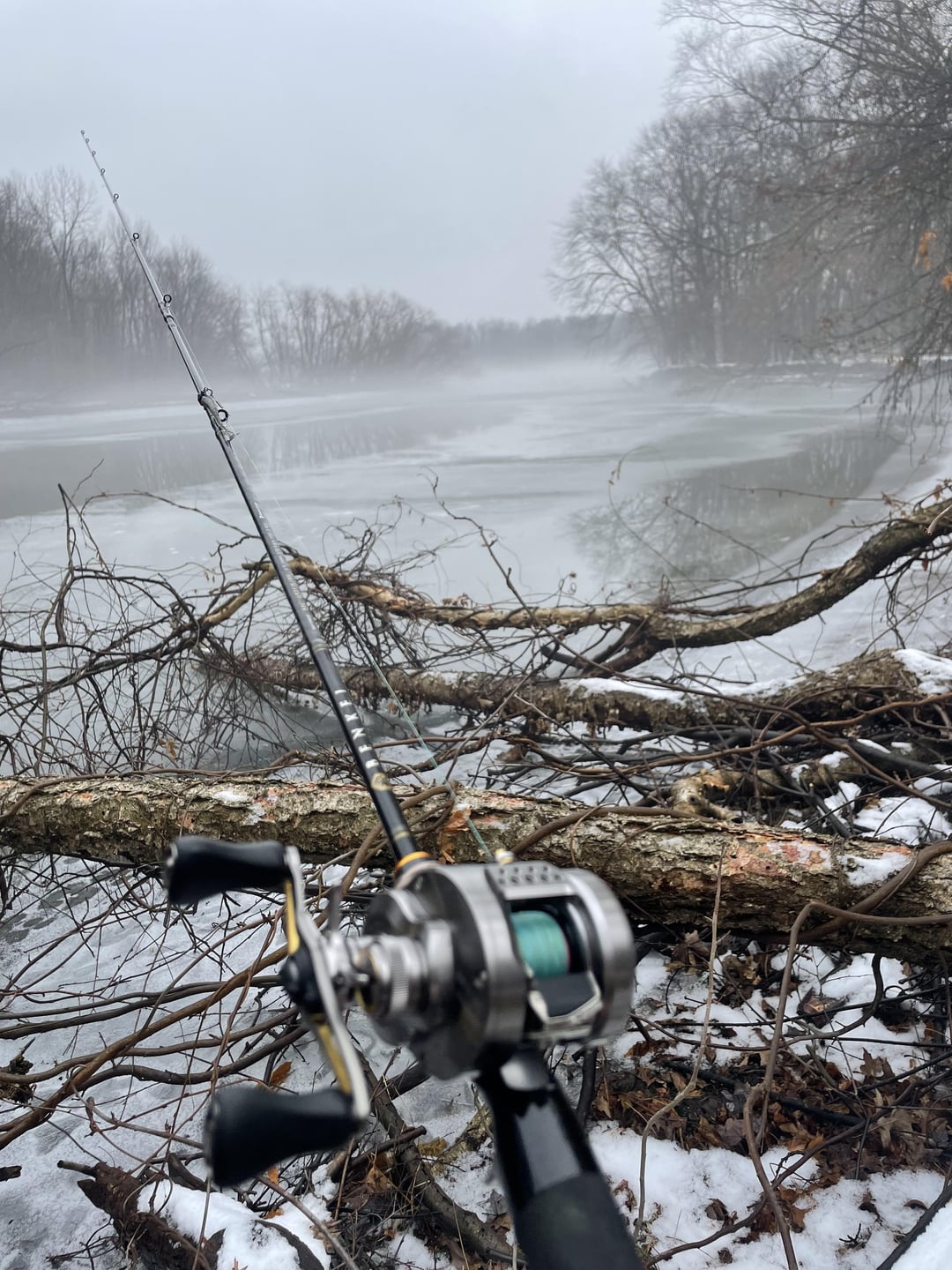 Shes clean - Flake Food