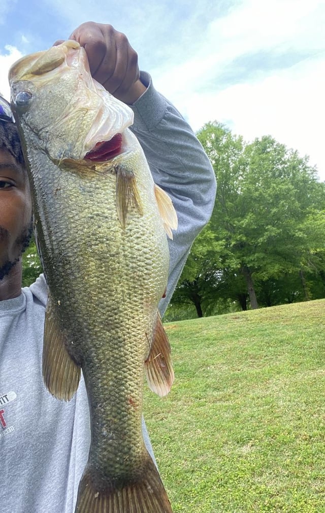 big bait=big fish - Flake Food