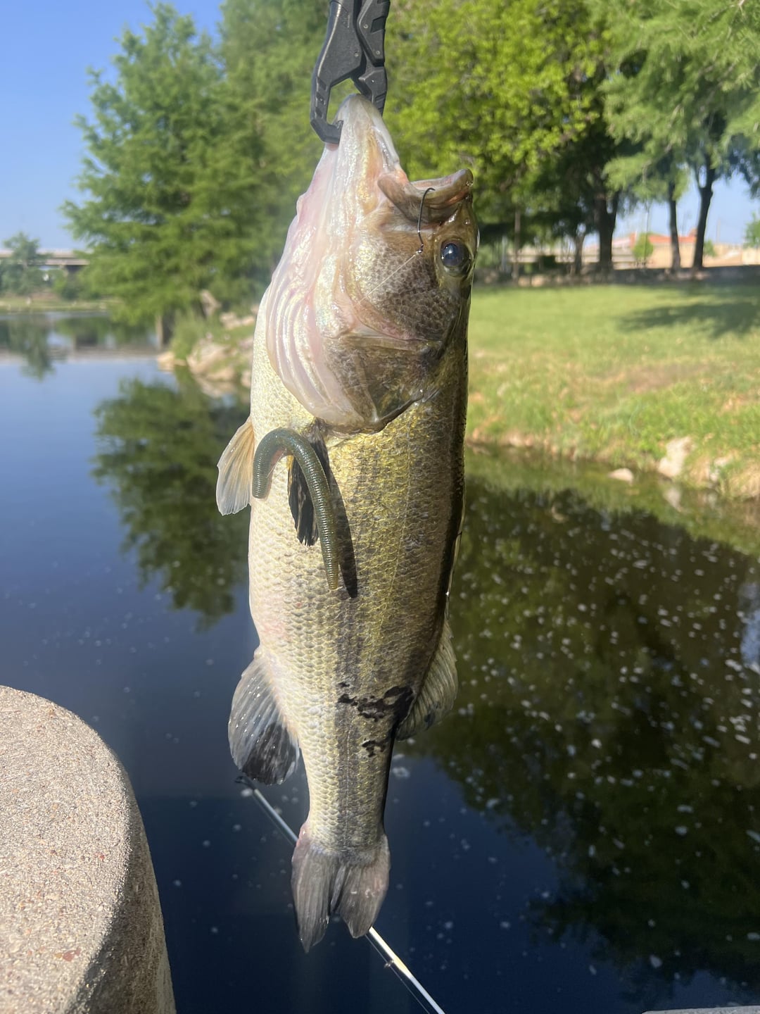 The Last Cast… - Flake Food