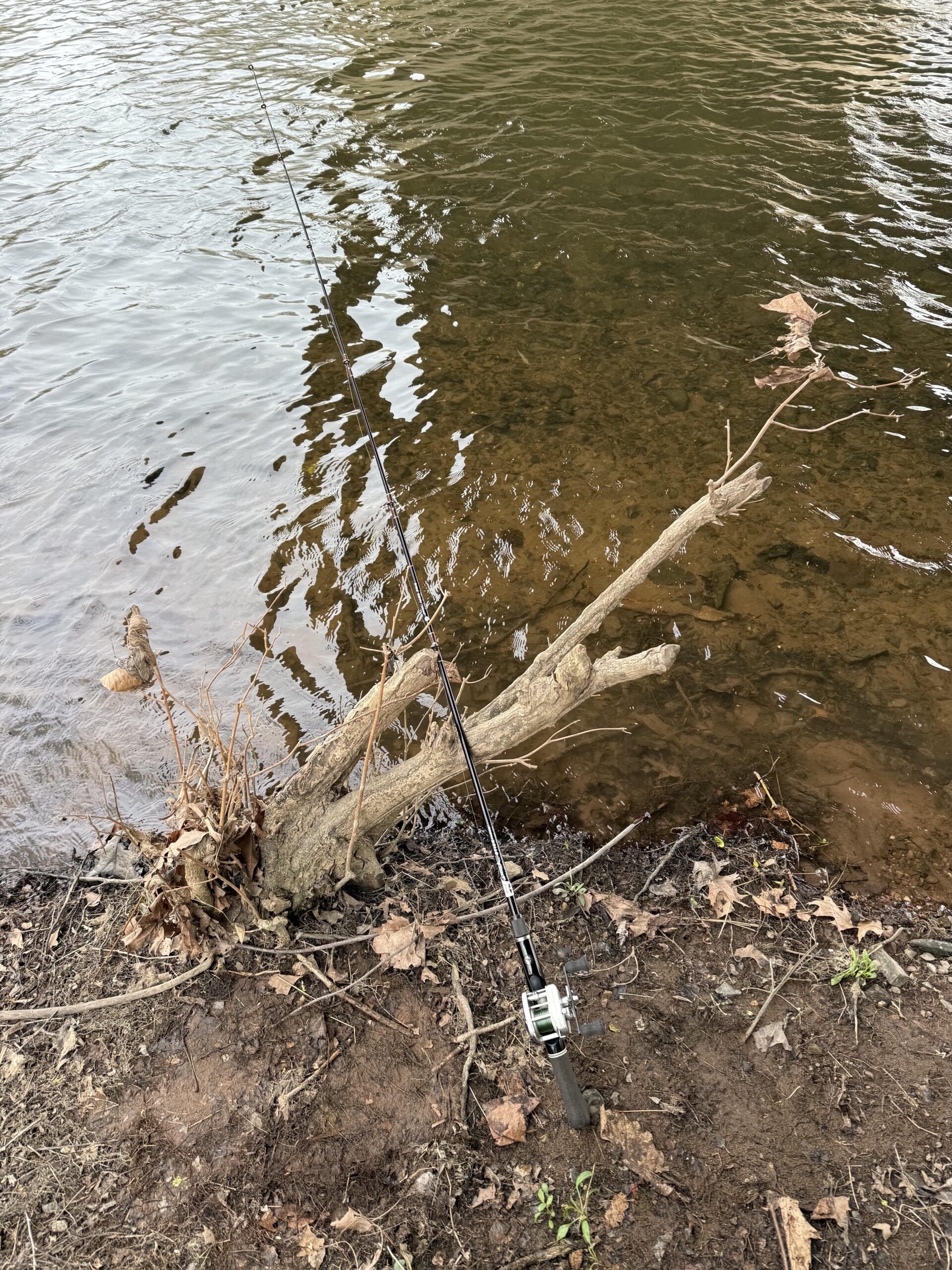 Old school - Flake Food