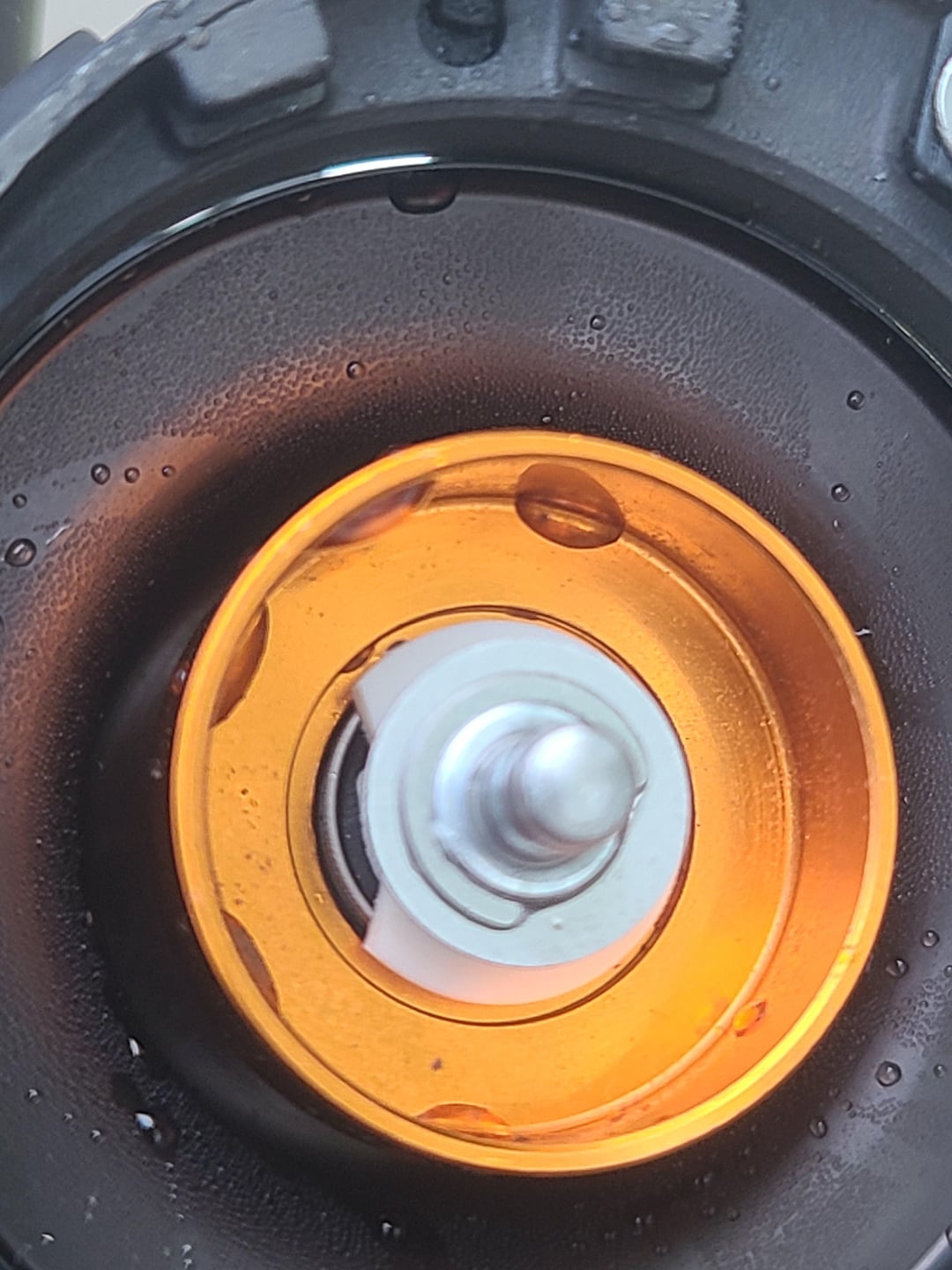 Daiwa Zillion Cracked Washer from Giant Snakehead and Blue Catfish ...