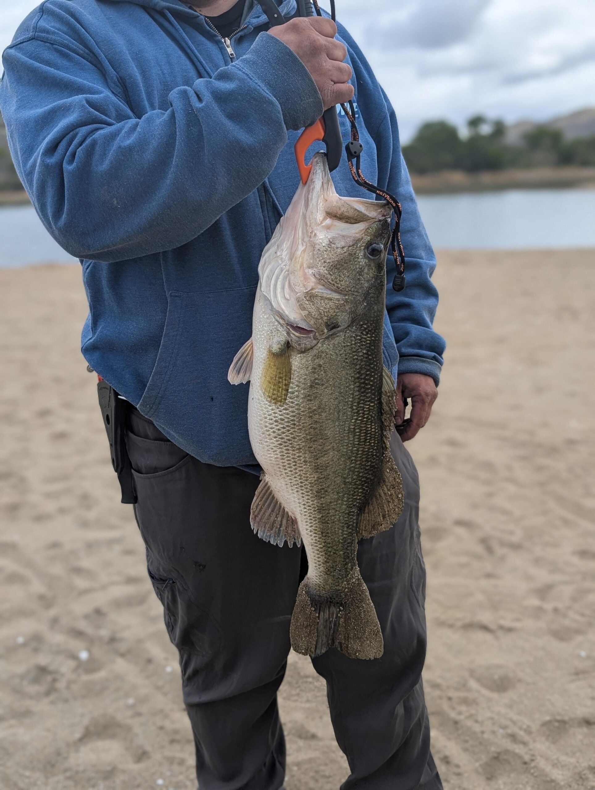 Today I caught the biggest bass of my life - 7.5 lb - Flake Food