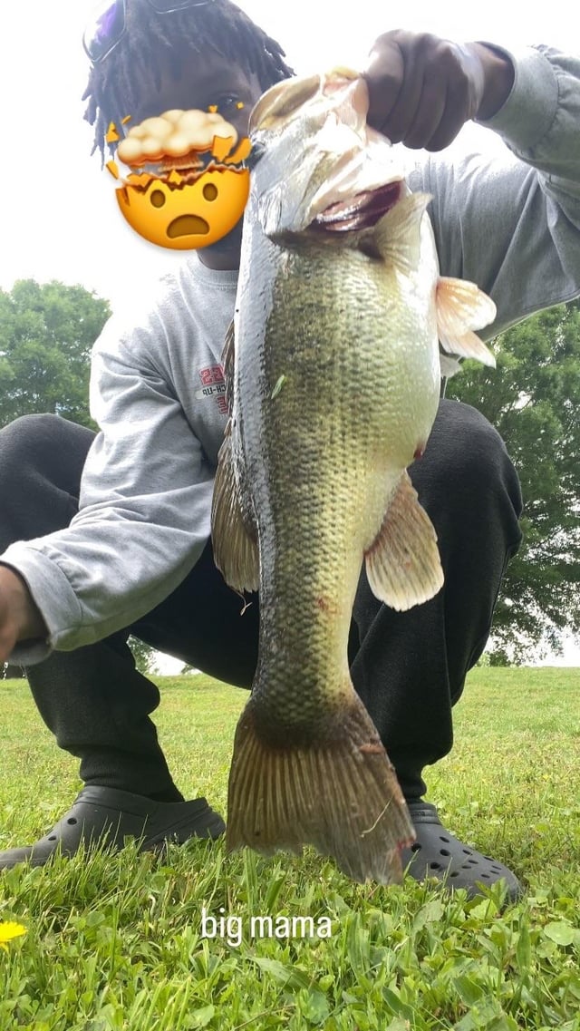 big bait=big fish - Flake Food