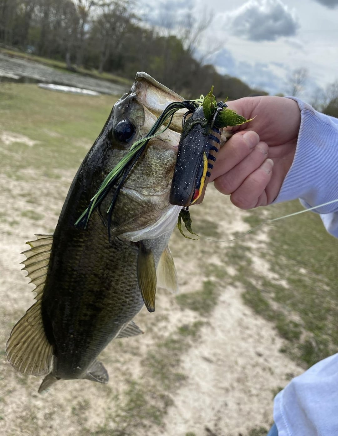 Finally got success on a top water bait - Flake Food